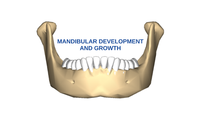 MANDIBULAR GROWTH by Zahra Seraj on Prezi