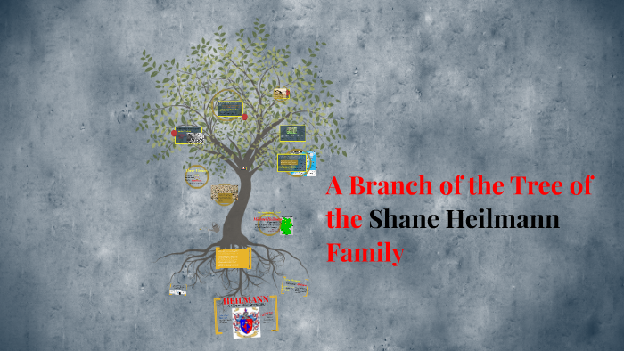 The Family Tree of Shane Heilmann by Shane Heilmann on Prezi