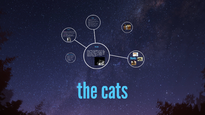the cats by marisol sanchez arias on Prezi