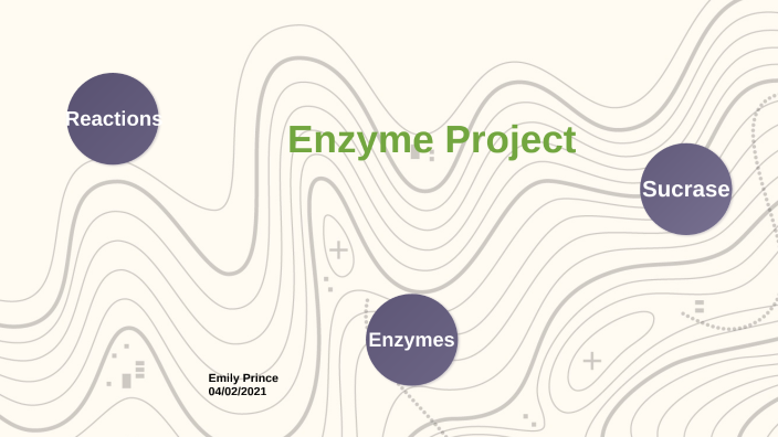 Enzyme Project by emily prince on Prezi