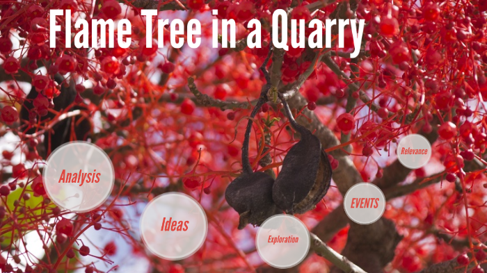 Flame tree in a Quarry - English by Dania Burgess on Prezi