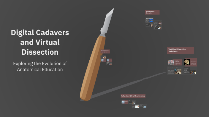 Digital Cadavers and Virtual Dissection by Jessica Priebe on Prezi