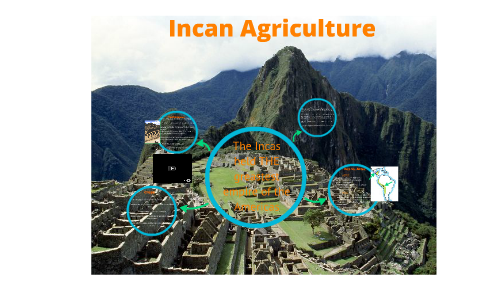 Incan Agriculture by Emma M on Prezi