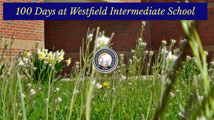 100 Days at WIS by William Choe on Prezi