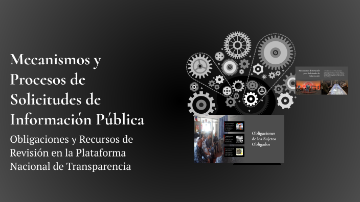 Mecanismos y Procesos de Solicitudes de Información Pública by Patricio ...