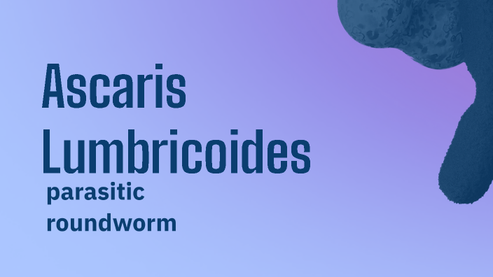 Ascariasis (ascaris lumbricoides) by Randy Gerlach on Prezi