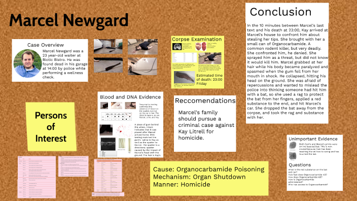 Marcel Newgard Evidence Board by Hannah Cain on Prezi