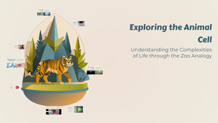 Exploring the Animal Cell by Amanda Stemple on Prezi