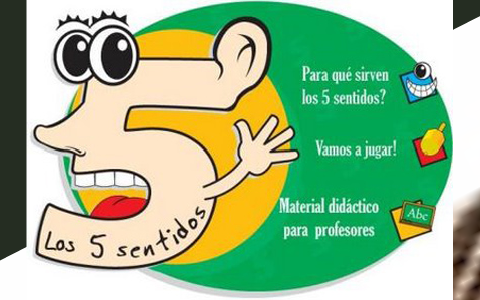 Los Sentidos by Jessica Monterroso on Prezi