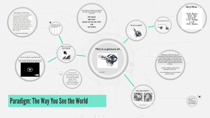 Paradigm: The Way You See the World by Jason Van Swol on Prezi