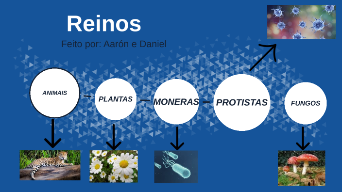 reinos by AARON FREIRE MEIZOSO on Prezi