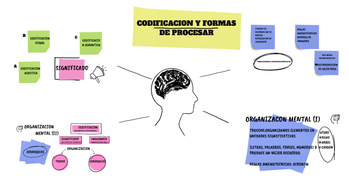 CODIFICACION: ACUSTICA, VISUAL Y SEMANTICA by Laura Lilibeth Mendoza ...