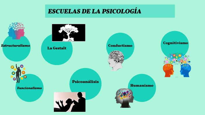 Escuelas de la psicología by maria bolivar on Prezi