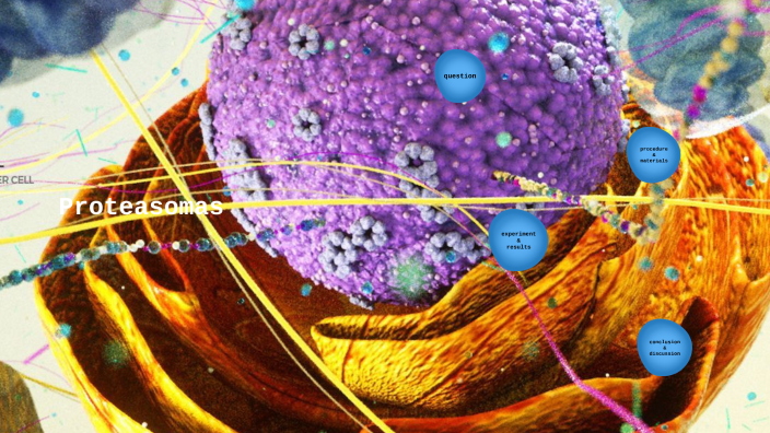 Proteosomas by MANUELA SILVA CORREA on Prezi