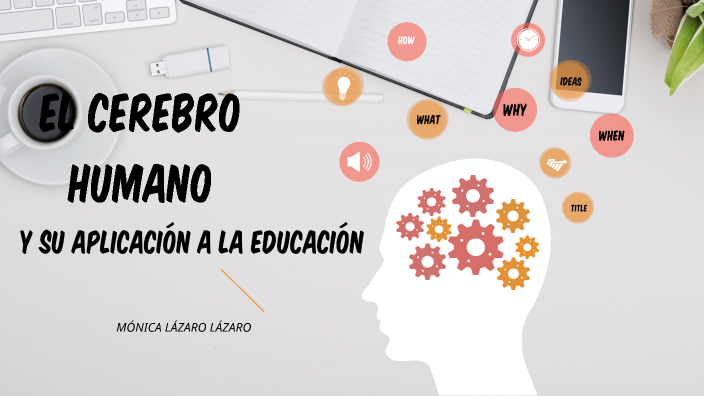 El Cerebro Y El Aprendizaje By Mónica Lázaro Lázaro On Prezi