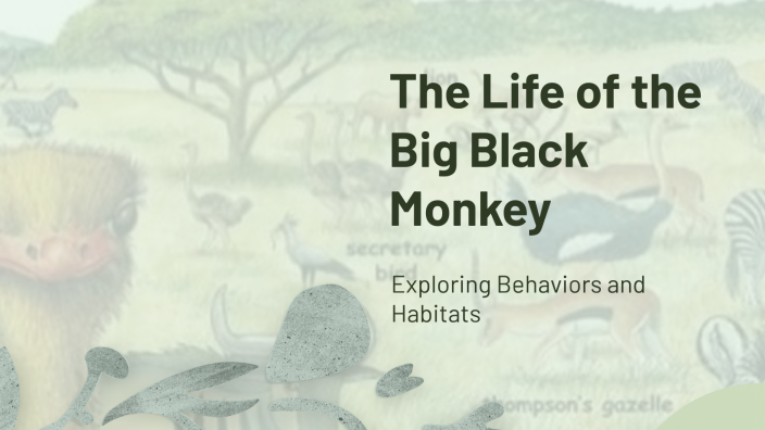The Life of the Big Black Monkey by Harper Zimmerman on Prezi