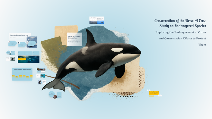 Conservation of the Orca: A Case Study on Endangered Species by Maryam ...