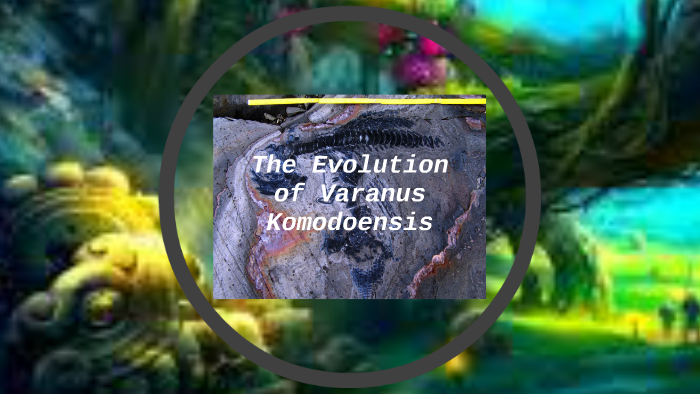 The Evolution of Varanus Komodoensis by alexandra marron on Prezi