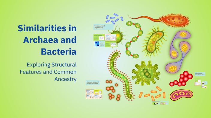Similarities in Archaea and Bacteria by g g on Prezi