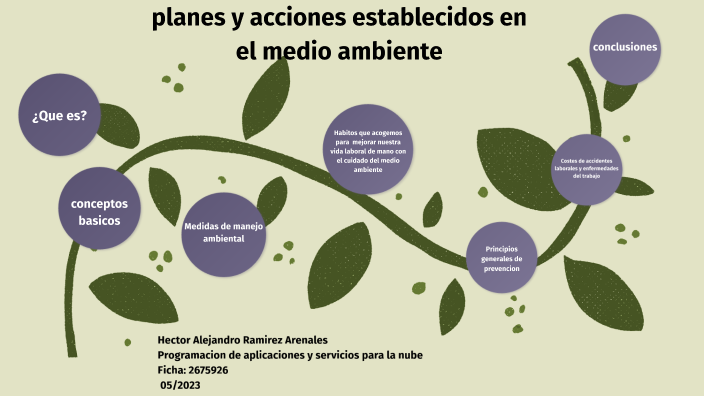 Mapa Mental Planes Y Acciones Establecidos En El Medio Ambiente | My ...