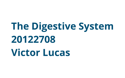 Digestive System by Victor Lucas on Prezi