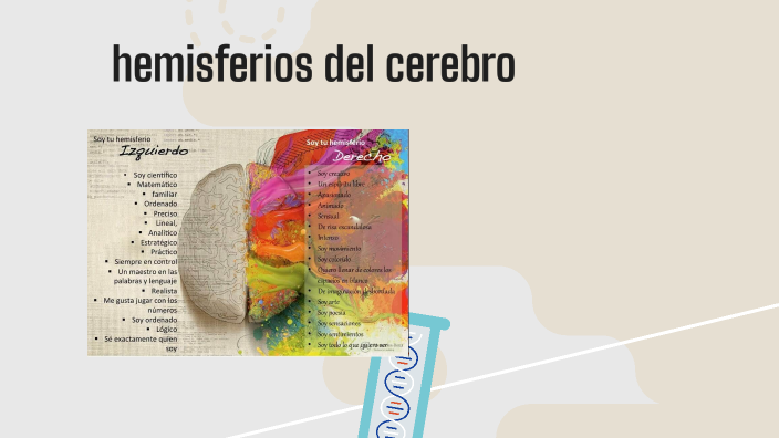 Estructura del Cerebro by Fatima Pozo Sarmiento on Prezi