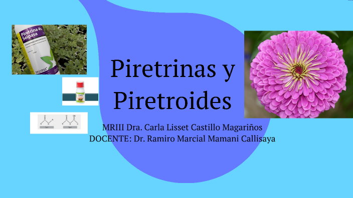 Piretrinas y Piretroides en el Ambiente Laboral by Carla Lisset ...