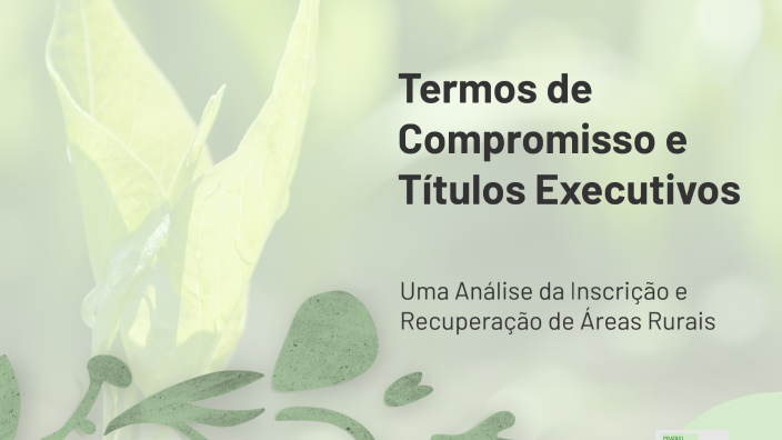 Termos de Compromisso e Títulos Executivos by Maria Beckman on Prezi