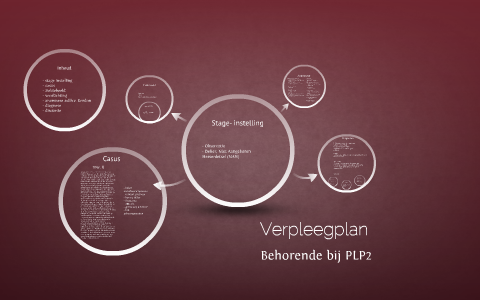 Verpleegplan by iris perdok on Prezi