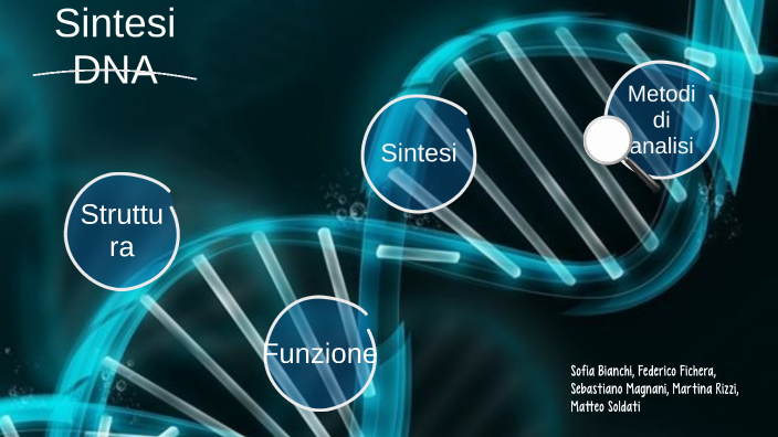 sintesi del DNA by Martina Rizzi on Prezi