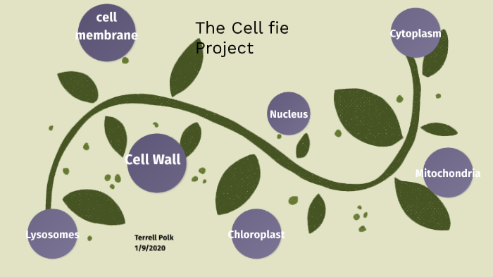 The Cell fie project by Terrell Polk on Prezi