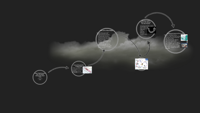 Phylum Platyhelmenthes: by Matthew Atteberry on Prezi
