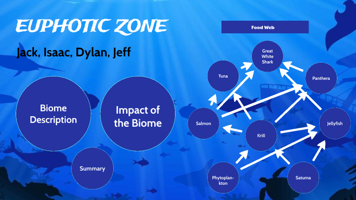 Euphotic Zone by John Blouin on Prezi