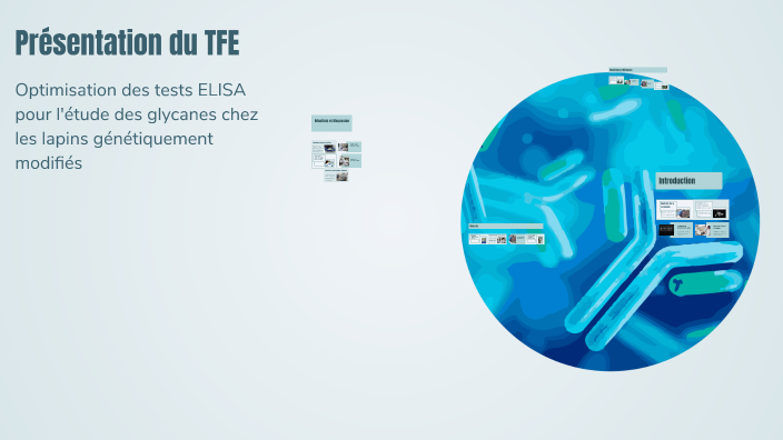 Présentation du TFE by Emma Widart on Prezi