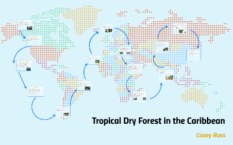 Tropical Dry Forest in the Caribbean by Casey Russ on Prezi