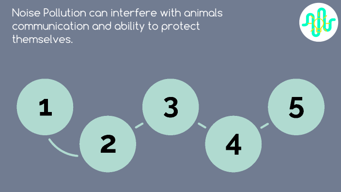 Noise Pollution's Effect on Animals by Arianna Viale on Prezi