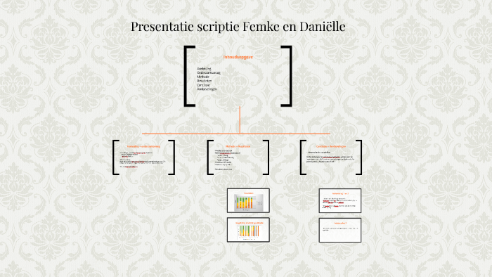 Presentatie scriptie Femke en Daniëlle by on Prezi