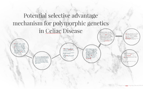 Potential selective advantage mechanism for polymorphic gene by Maggie ...