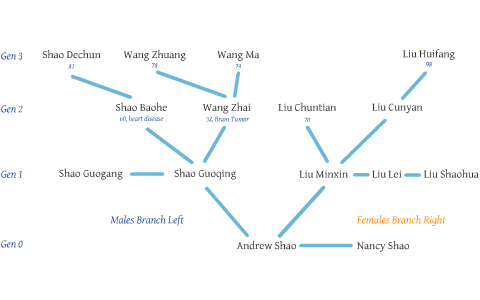 Health Family Tree by ☼_☼ ♪♫♫♪♫ on Prezi