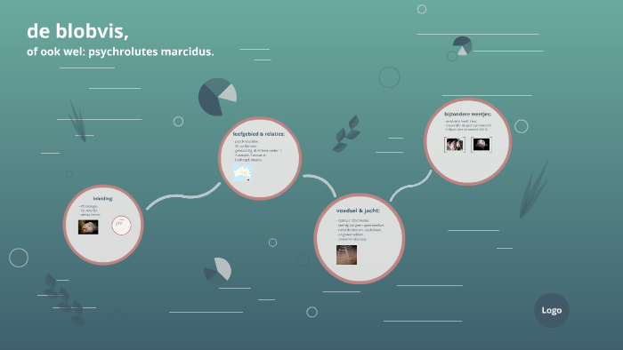 de blobvis. by Gooitzen van der Schaaf