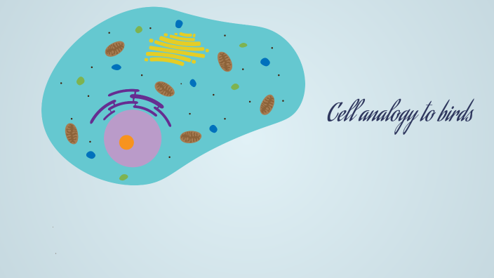 Bird Cell Analogy by yev zub on Prezi