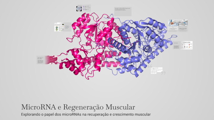 MicroRNA e Regeneração Muscular by Káthia Beatriz on Prezi