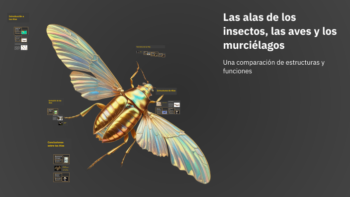 Las alas de los insectos, las aves y los murciélagos by Salvador ...