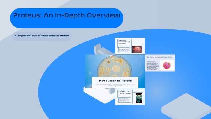 Proteus: An In-Depth Overview by Mohamad DIAB on Prezi