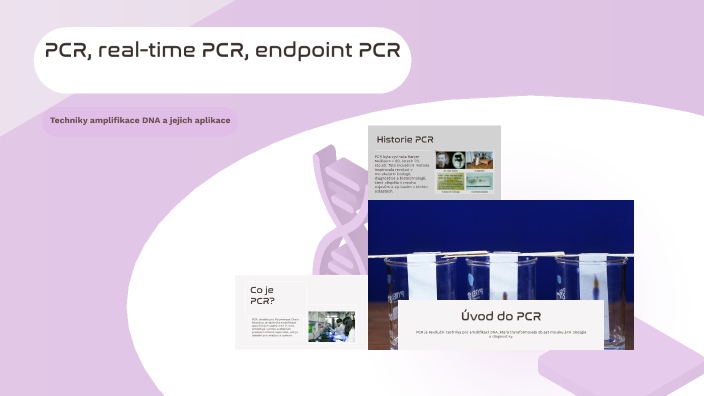 PCR, real-time PCR, endpoint PCR by Johana Martinková on Prezi
