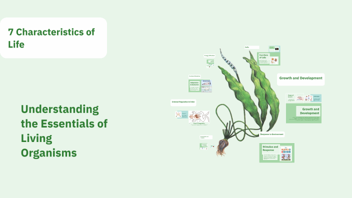 7 Characteristics of Life by Niegel Zagada on Prezi