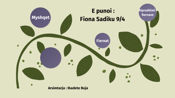 Myshqet dhe Fiernat - Fiona Sadiku by Fiona Sadiku on Prezi