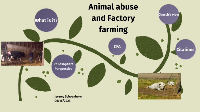 Social injustice - Animal abuse/Factory Farming by Jeremy Schoenborn on ...