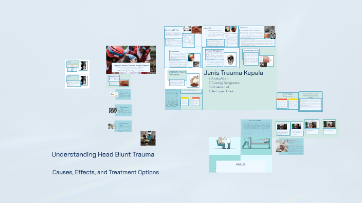 Understanding Head Blunt Trauma by Dims Dims on Prezi