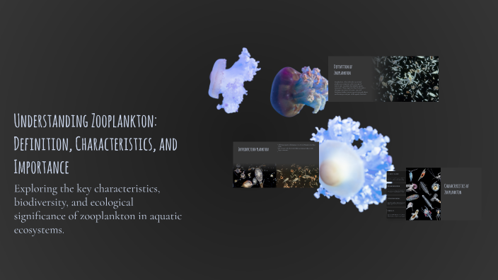 Understanding Zooplankton: Definition, Characteristics, and Importance ...